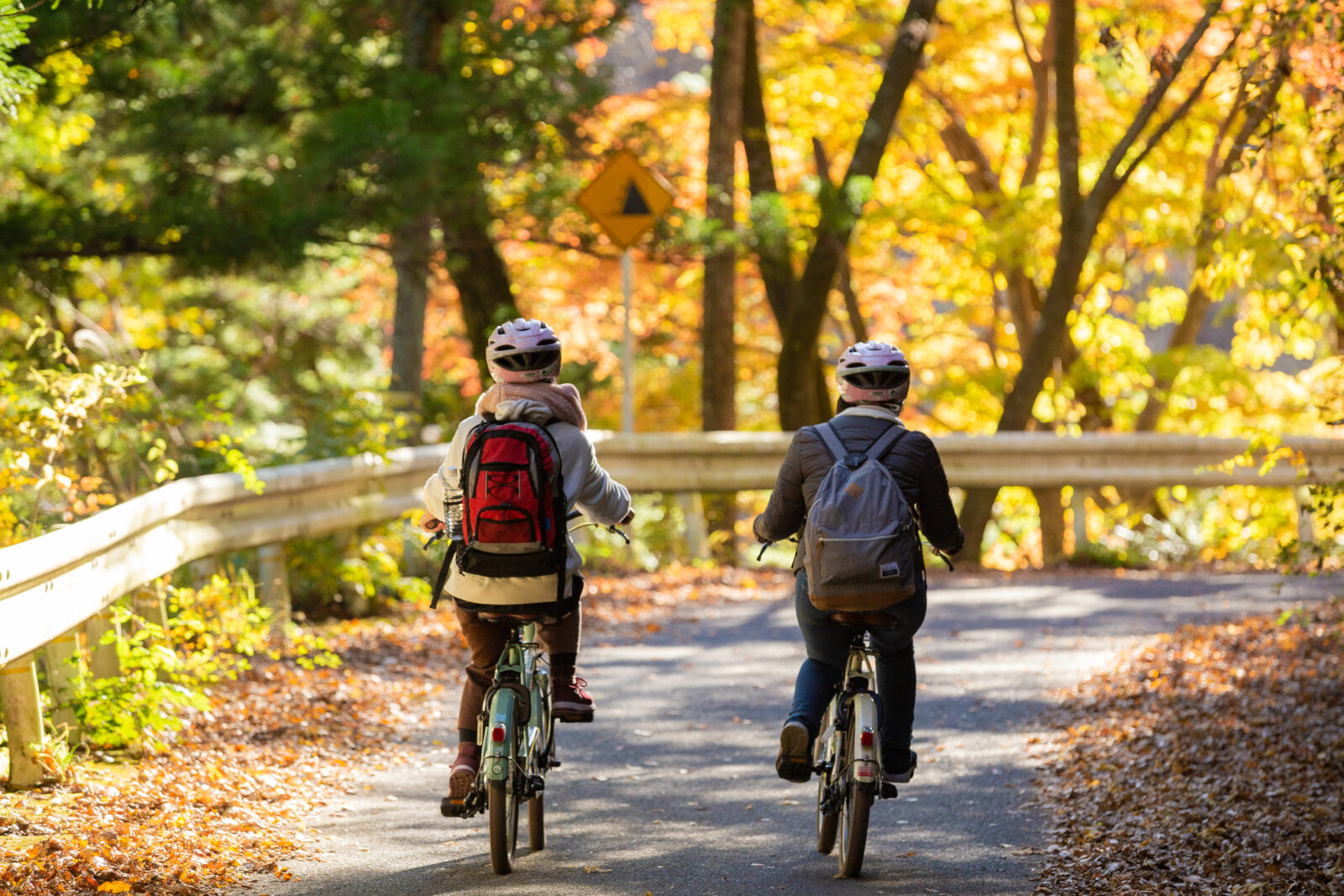 Autumn foliage season starts! | TREKKLING